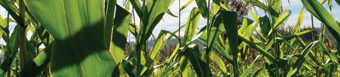 Agri-Inject introduces automatic injection control for changing conditions. - Agri-Inject